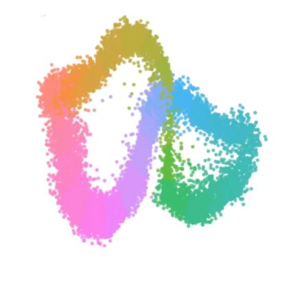 Neural Manifolds — Linear Algebra and Topology in Neuroscience | by ...