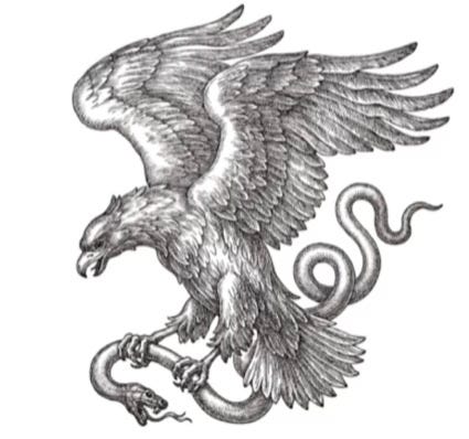 The Eagle, the Snake & The Condor | by deborah brooks | Medium