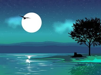 Moonlit Reflections: A Journey of Emotions | by Ayesha Tahir | Jul, 2024 | Medium