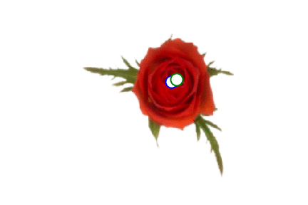 Key-point detection in flower images using deep learning | by Wouter de ...