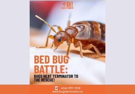 Best Bed Bug Exterminator in Toronto | Bugs Heat Terminator | by ...