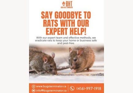 Bugs Heat Terminator: Your Trusted Pest Control Experts in Toronto, ON ...
