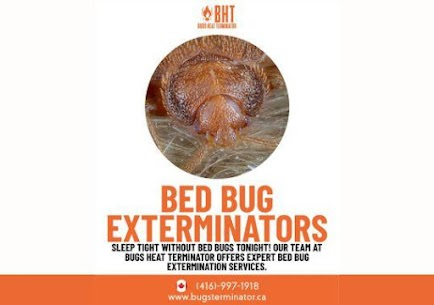 Expert Bed Bug Extermination in Toronto, ON — Bugs Heat Terminator | by ...