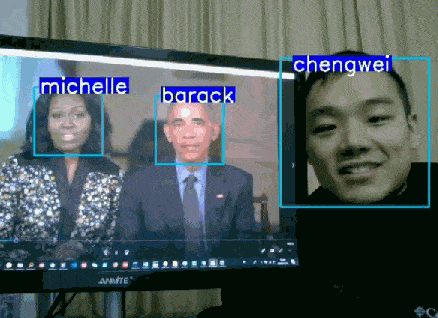 Live Face Identification with pre-trained VGGFace2 model | by Chengwei ...
