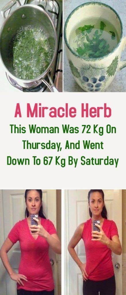 The Miracle Herb: This Woman Was 72 Kg On Thursday, And Went Down To 67 Kg By Saturday (Recipe ...
