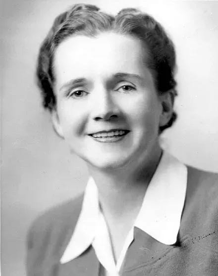 Women’s History Month Day 20: Rachel Carlson | by bobbyb58 | Mar, 2025 ...