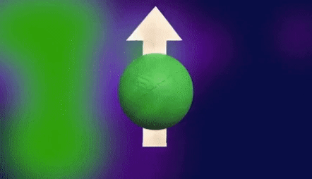 Quantum Deep Dive: Superposition. Introduction: | by Krish Mittal | Medium