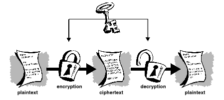 Cryptography for Absolute Beginners | by parserite | Medium