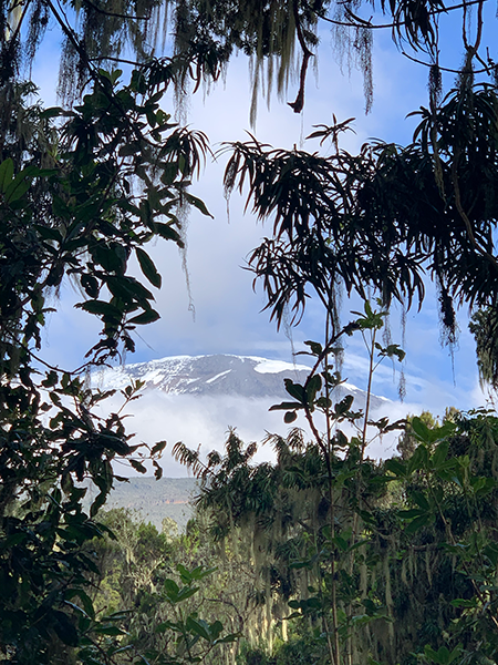 TikTok Nerds. It wasn’t the end of our story. In the… | by Amit Singh | Medium