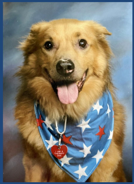 Who is Duke Webb?. How Therapy Dogs Help Students | by E Paipai Pono ...