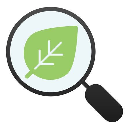 Leaf Disease Classification using Deep Learning and Image Segmentation ...