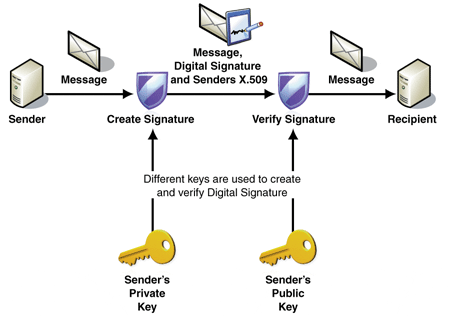 JWT Signature Verification and Beyond | by Ahsan shamsudeen | Medium