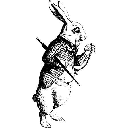 The Reverse Rabbit Hole — Getting Better Results in Life! | by Sean I ...