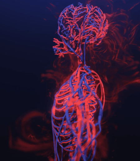 Vexev: Unlocking the future of proactive vascular healthcare | by John ...