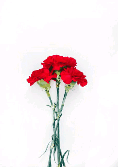 15 Best Good Morning Gif Images With Animation | by very wish you | Medium