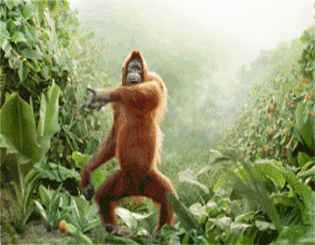 Jungle me Mungle…. | by RITOSREE DAS | Apr, 2025 | Medium