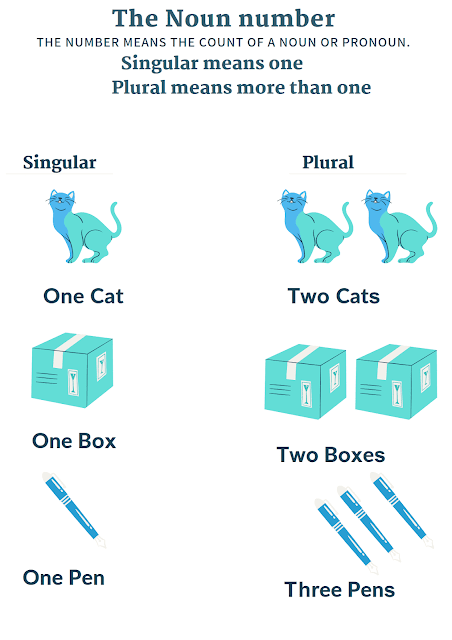 The Noun Number (Singular, Plural) Rules | by Muhammad Arshad | Medium