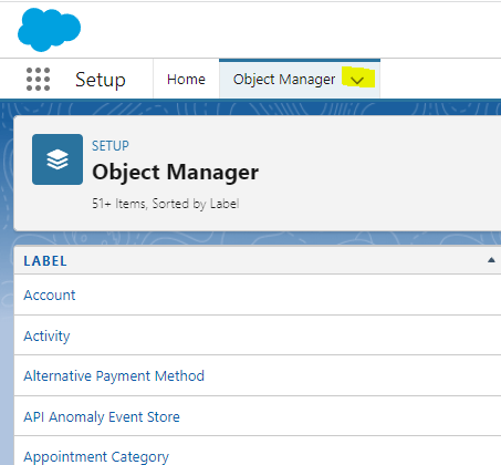 Erstellung eines neuen Custom Object | by Halime Altintop | Medium