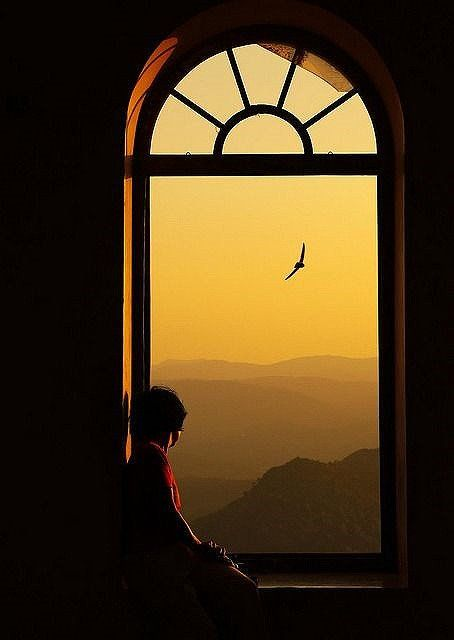 How to Overcome Overload Hyperarousal on The Nervous System. | by Bryan ...