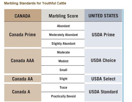 What is Horn Beef?. For some reason, restaurants… | by totoping | Medium
