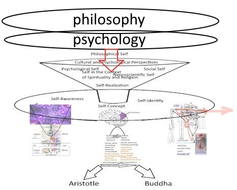 Philosophy and Psychology layers to brain-mind processes | by Siri ...