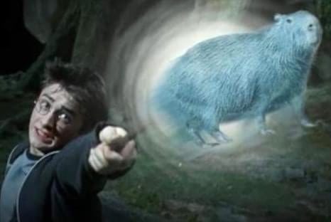 NumByNum :: Who’s Harry Potter? Approximate Unlearning in LLMs (Reviewed) | Medium
