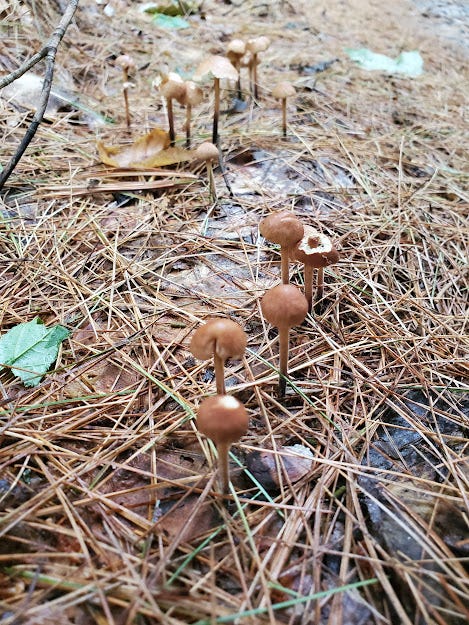 Persistence and Consistency, The Key to Achieving Success in Your Goals ...