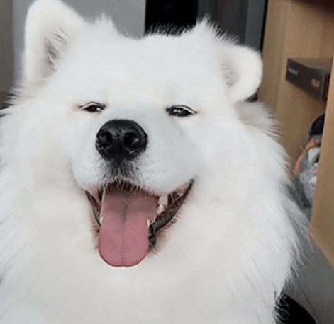 JavaScript Essentials: Objects. Essentials is a series that covers the ...