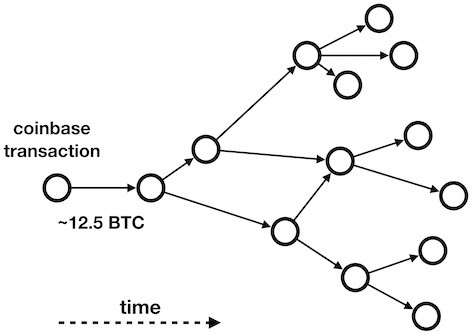 Applying graph ML to classify (il)licit bitcoin transactions | by Alex Ke | Stanford CS224W ...