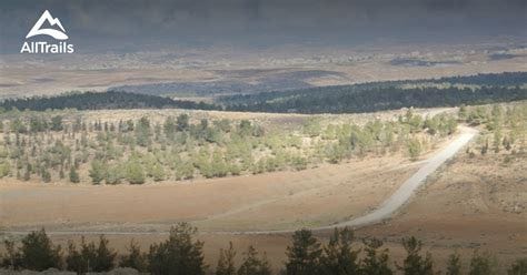 Review Top 5 Walking Tours in Sde Boker Recommended | by Sampleearl ...