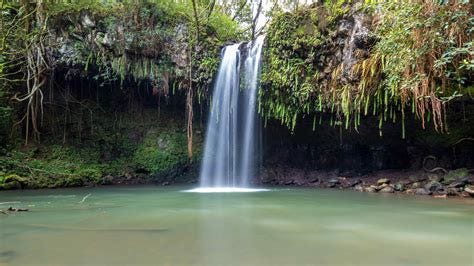 Review Top Maui Magical Waterfall and Jungle Tour: Best Adventures for ...