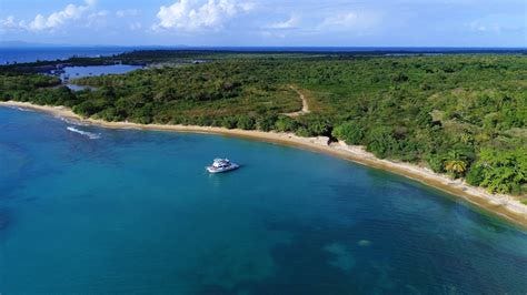 Top 5 Vieques Cultural Tours: Unforgettable Island Experiences | by ...
