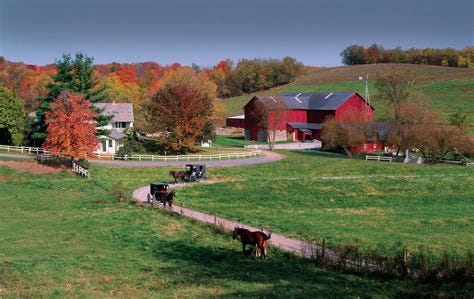 Review Top Unveiling Amish Country: Best Premium Tours & Immersive ...