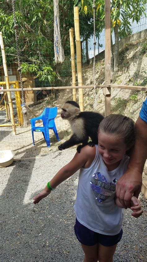 Top 5 Roatan Shore Excursions with Monkeys - Ultimate Guide | by ...