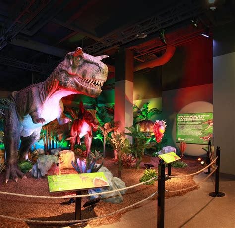 5 Must See Things At Bell Museum Of Natural History Photos | by ...