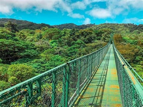 Top 5 Monteverde Sightseeing Tours: Ultimate Guide | by Cortezaeods ...