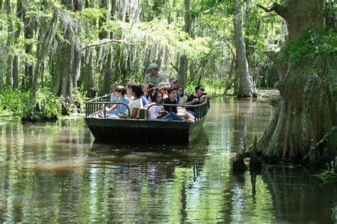 Top 5 Best Honey Island Swamp Boat Tours Reviewed | by Deanaofscb | Sep ...
