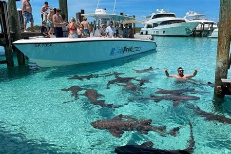 5 Best Exuma Island Hopping & Swimming Pigs Tour with Lunch from Nassau ...