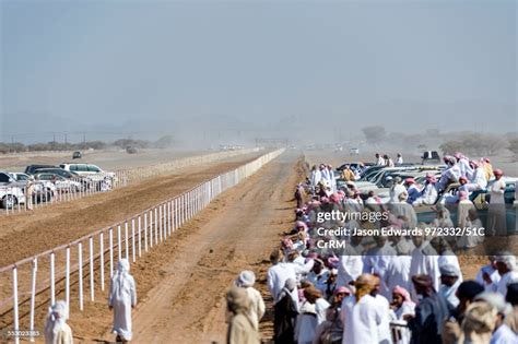 Review Top Shahaniya Camel Race Track Tour: An Unforgettable Desert ...