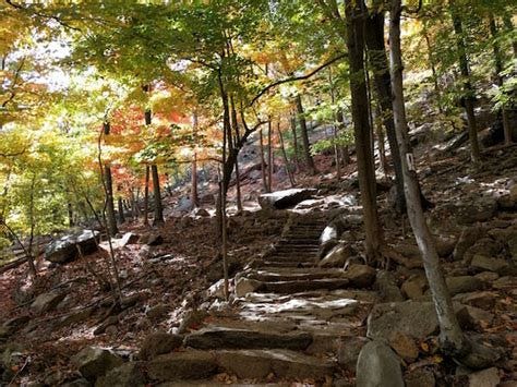 5 Best Hiking Trails in Greenwich: Discover the Charm of Connecticut’s ...