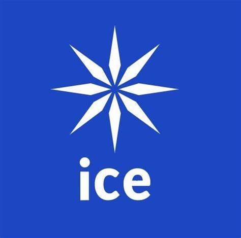 ICE NETWORK. Mine Your Way to Freedom: Unpacking the… | by ALI KING ...