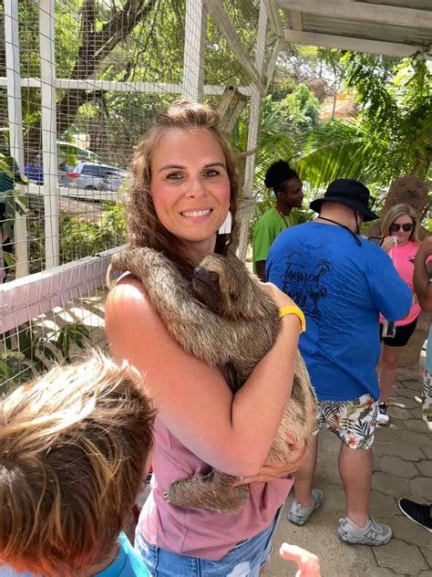 Top 5 Cruise Ship Family Sloth & Monkeys – Ultimate Review | by ...