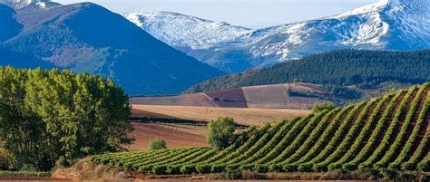 Review Top 5 Alta Wine Tours & Tastings Recommended | by Lundbergasucs ...