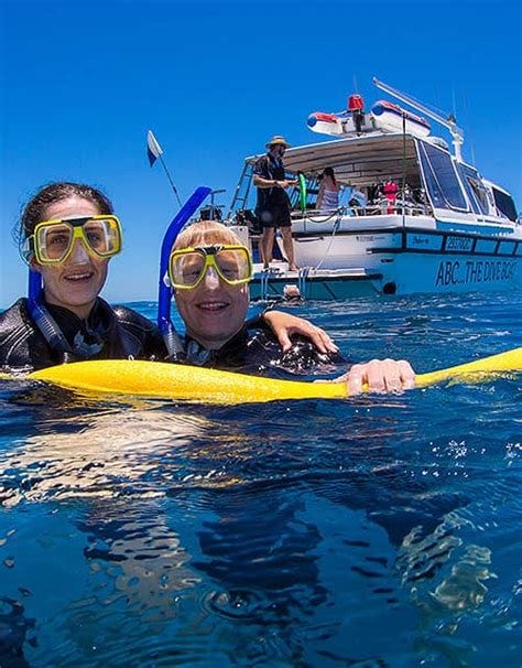 Top 5 ABC Snorkel Charters in Port Douglas for Intimate Experiences ...