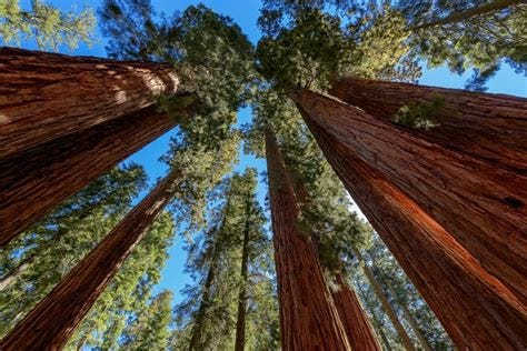 Review 5 Best Place to Visit in Sequoia and Kings Canyon in Summer ...