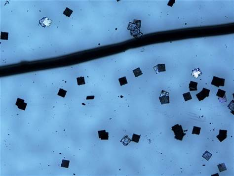 Implantable Microchips and the Spectrum of Fake News | by BINARY ...