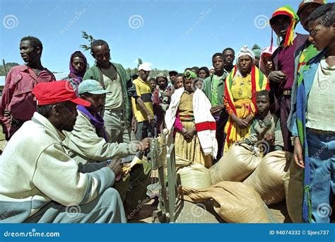 5 Must-Visit Farmers’ Markets in Jimma: A Foodie’s Paradise | by ...