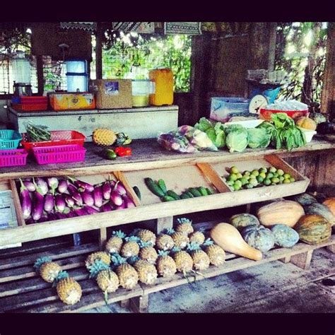Review Top 5 Food Tours in Taveuni Island Recommended | by ...