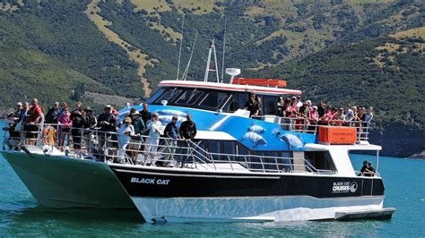 Review Top 5 Akaroa Cruises & Sailing Tours Recommended | by ...
