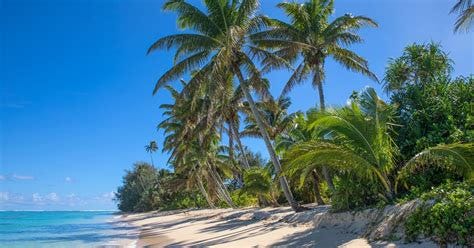 Review Top 5 Cook Islands Tickets and Passes Recommended | by ...